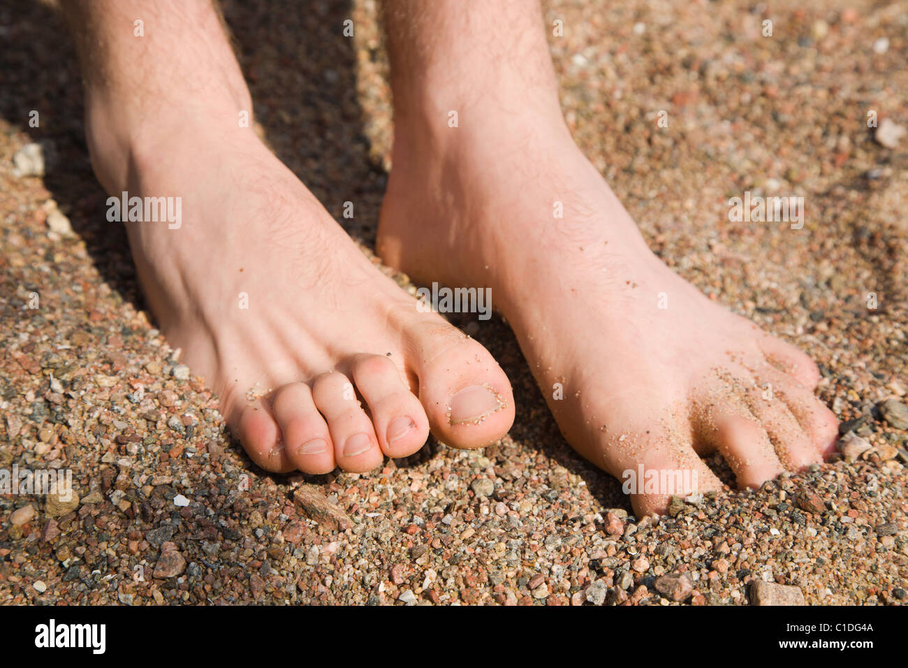 Toes digging in sand Stock Photo - Alamy
