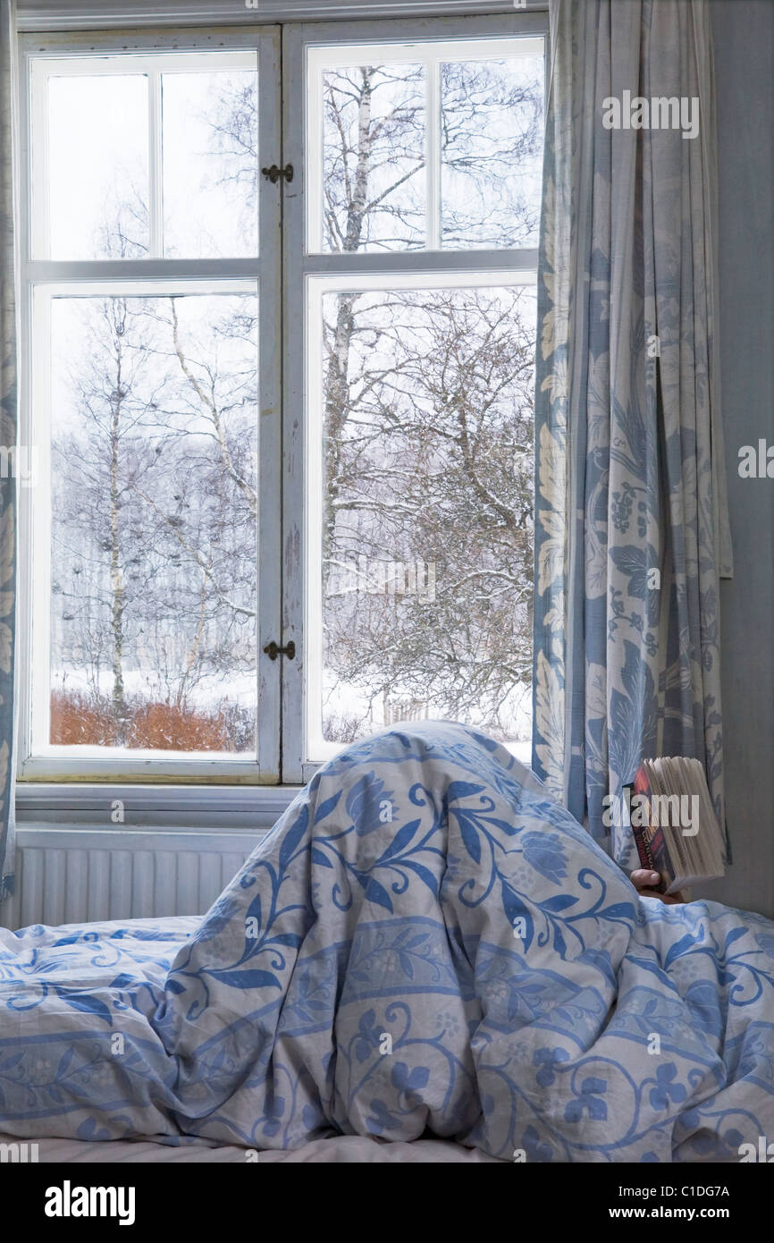 A Bed For Winter Reading Street at Carolyn Bey blog