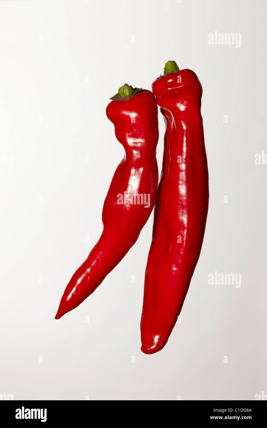 Studio shot of 2 red peppers Stock Photo - Alamy
