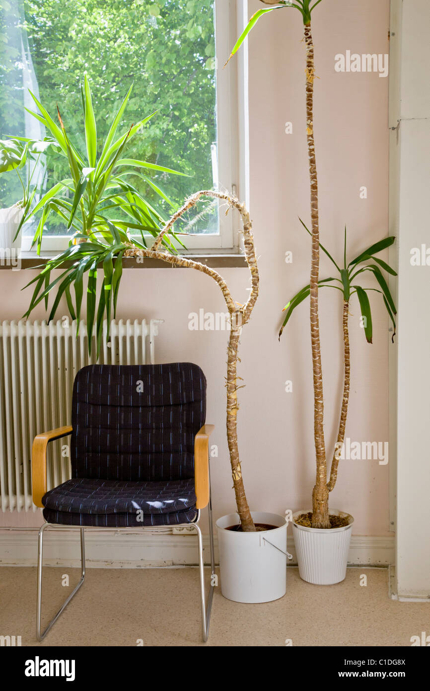 Waiting room with palm trees Stock Photo - Alamy
