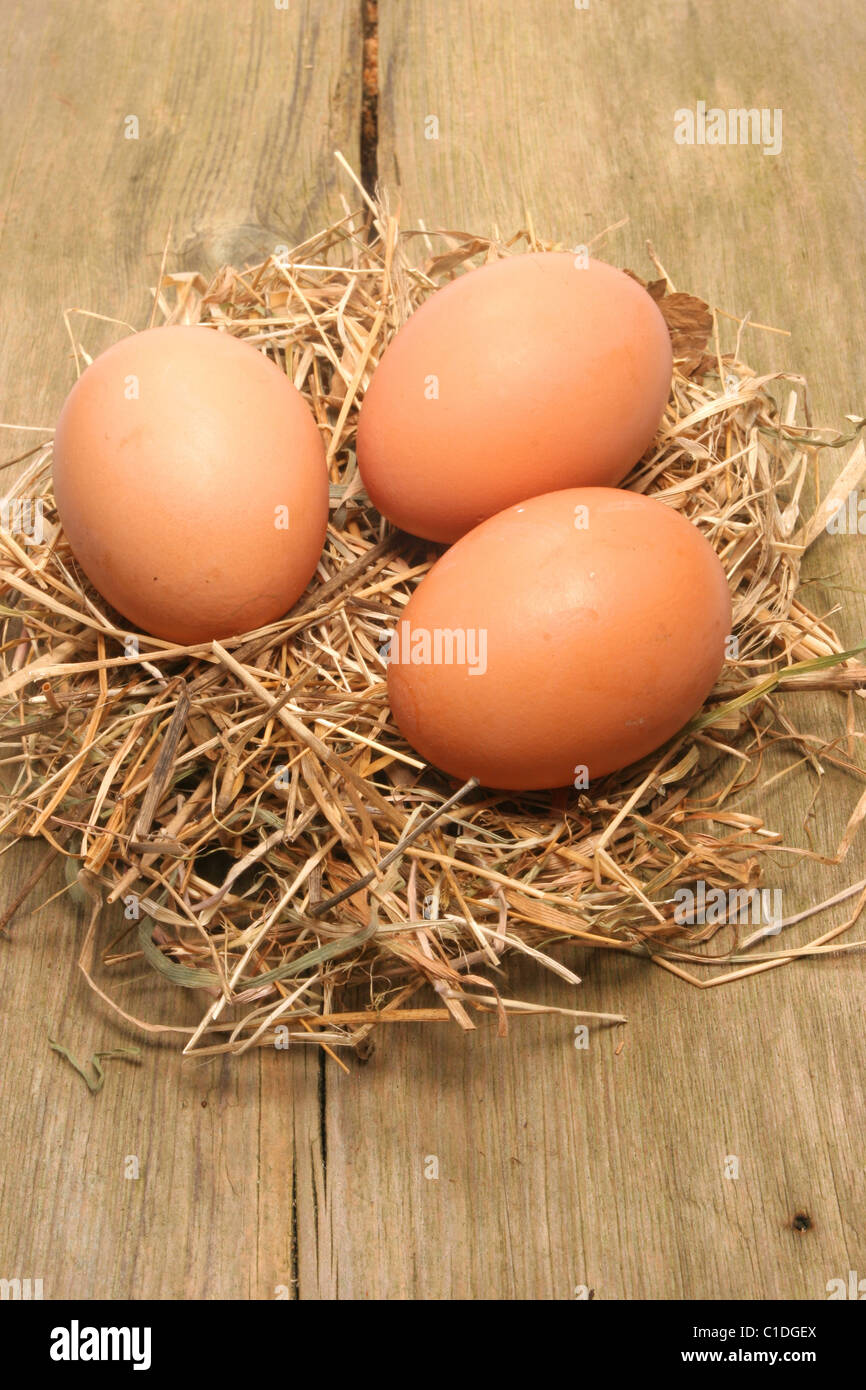 Three eggs on straw on rustic wood Stock Photo - Alamy