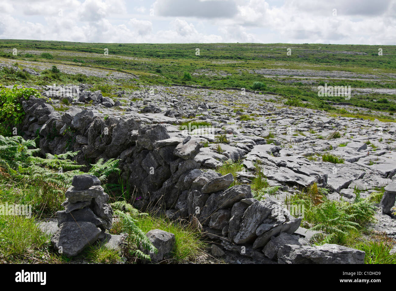 The karst landscape of the Burren in County Clare, Ireland Stock Photo ...