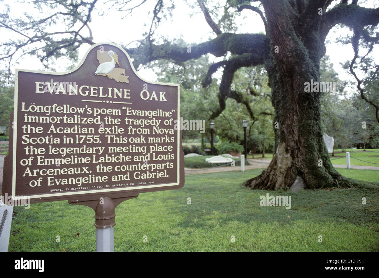 United staees, Louisiana, Saint-Martainville city, Cajun country ...