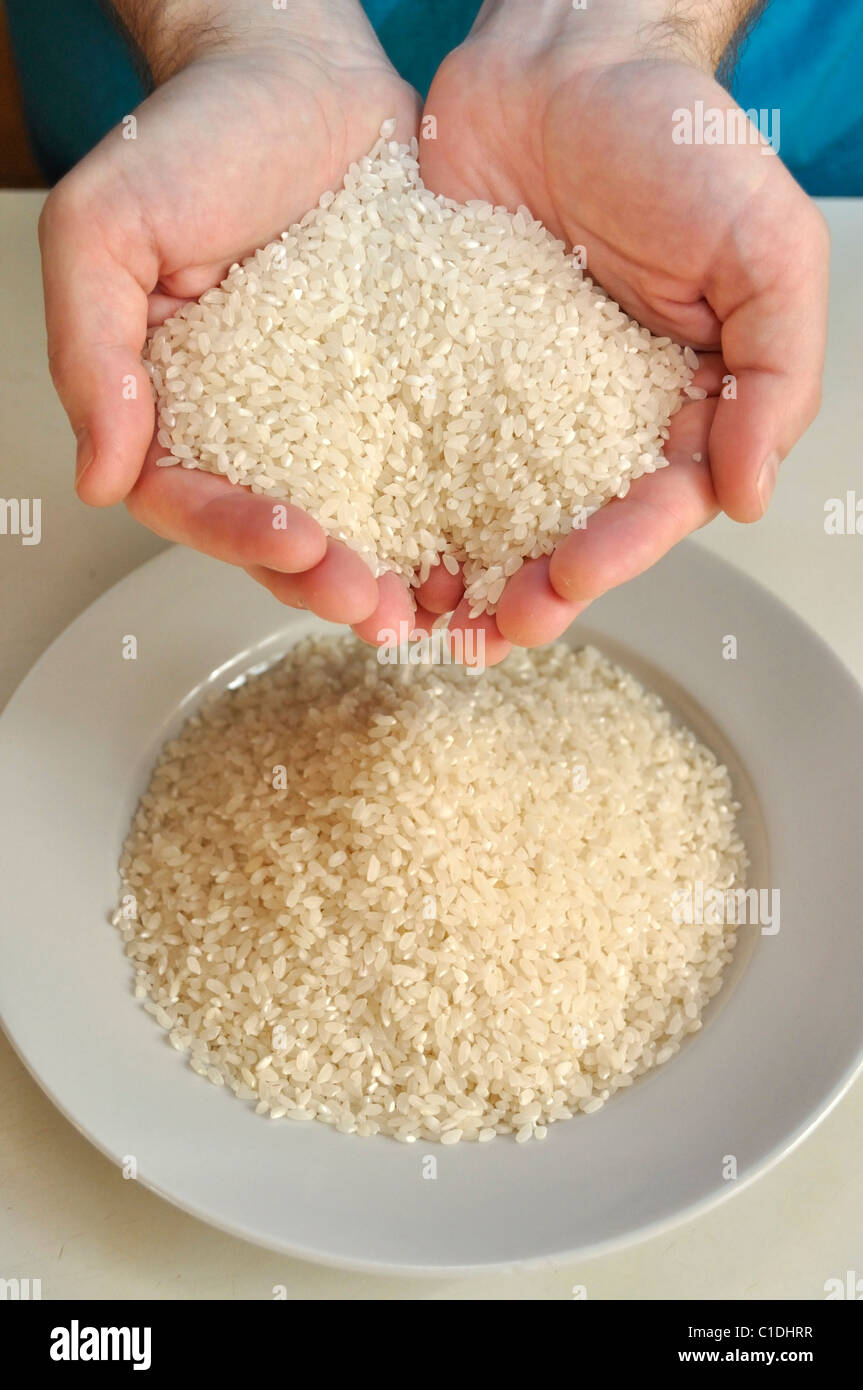 Two hands with rice grains over plate Stock Photo - Alamy