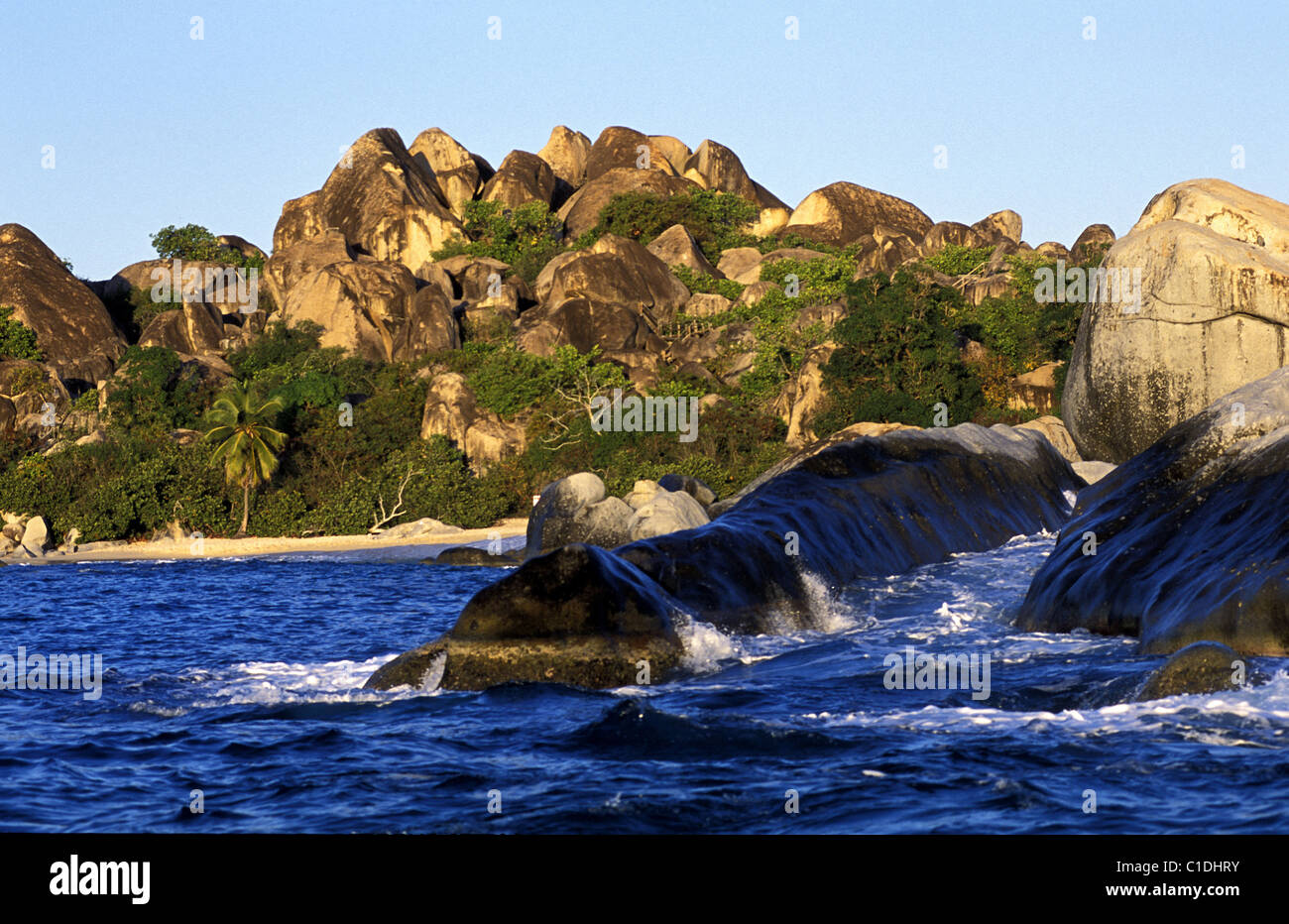 Barbados Island, Reef Stock Photo - Alamy