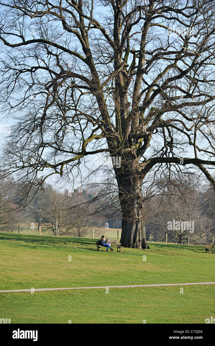 Relaxing by the Tree Stock Photo - Alamy