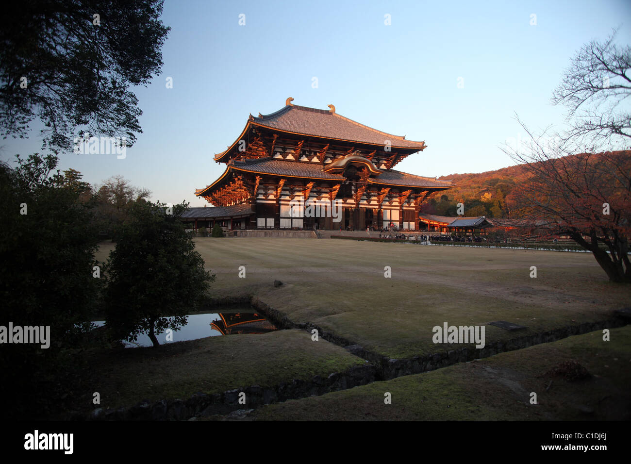 Nara koen park hi-res stock photography and images - Alamy