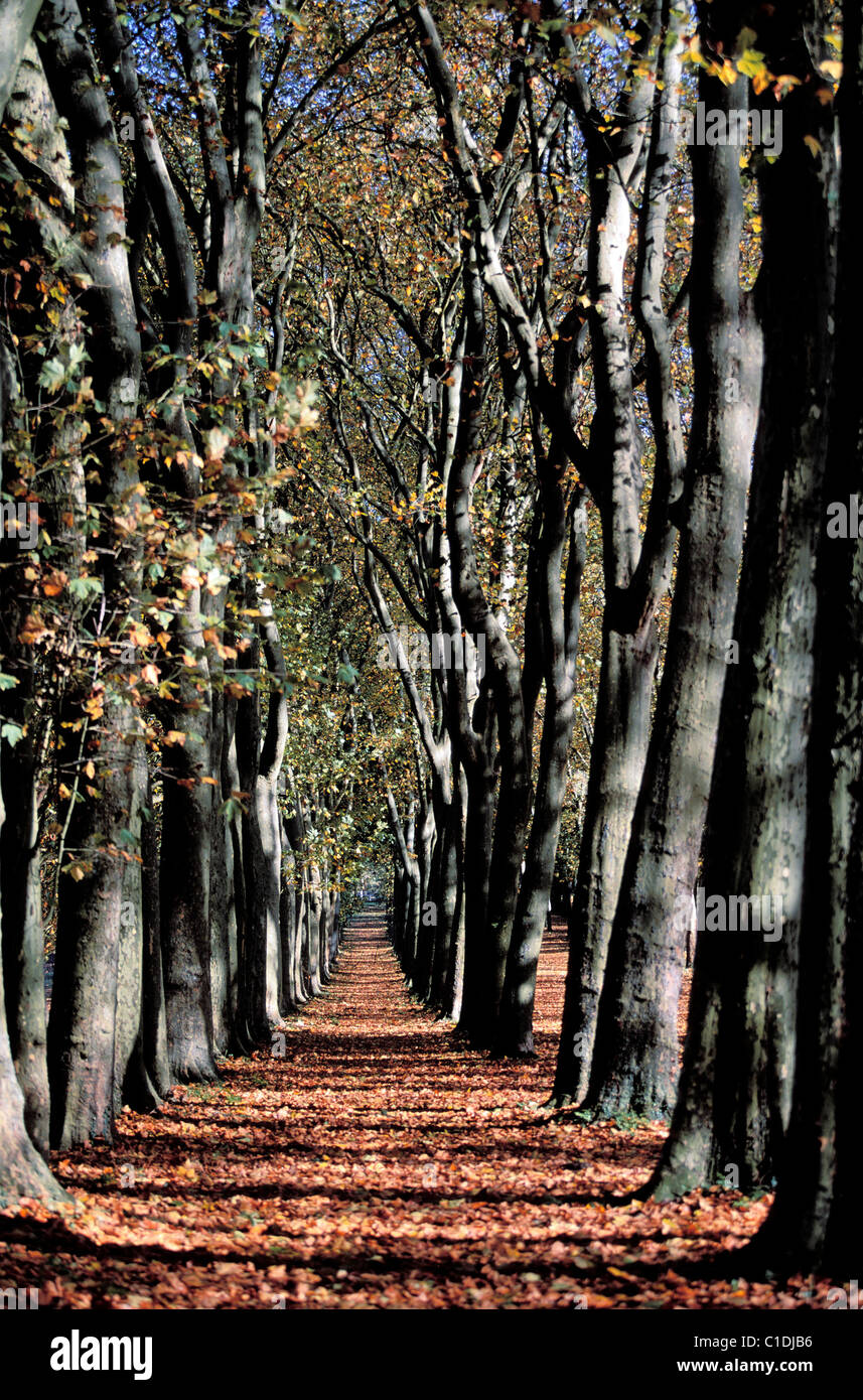 Courance france hi-res stock photography and images - Alamy