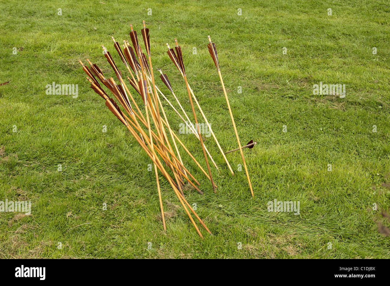Group of longbow arrows in Stock Photo - Alamy