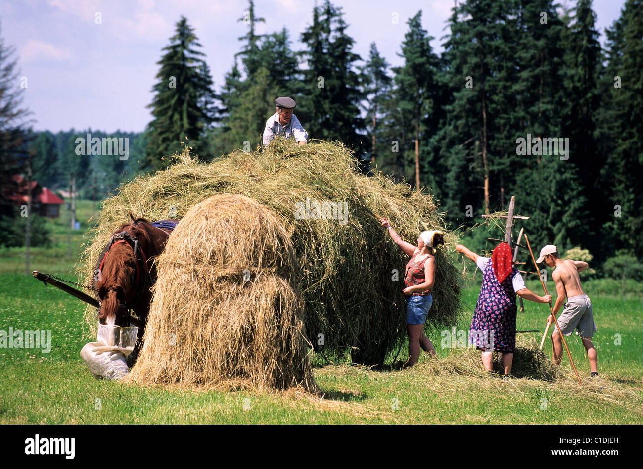 Farmers Making Hay High Resolution Stock Photography and Images - Alamy