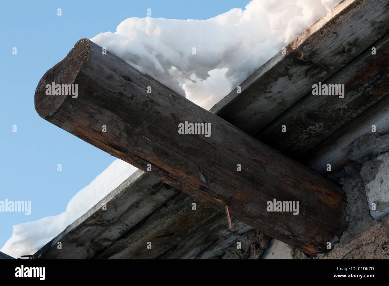 Drooping blue hi-res stock photography and images - Alamy