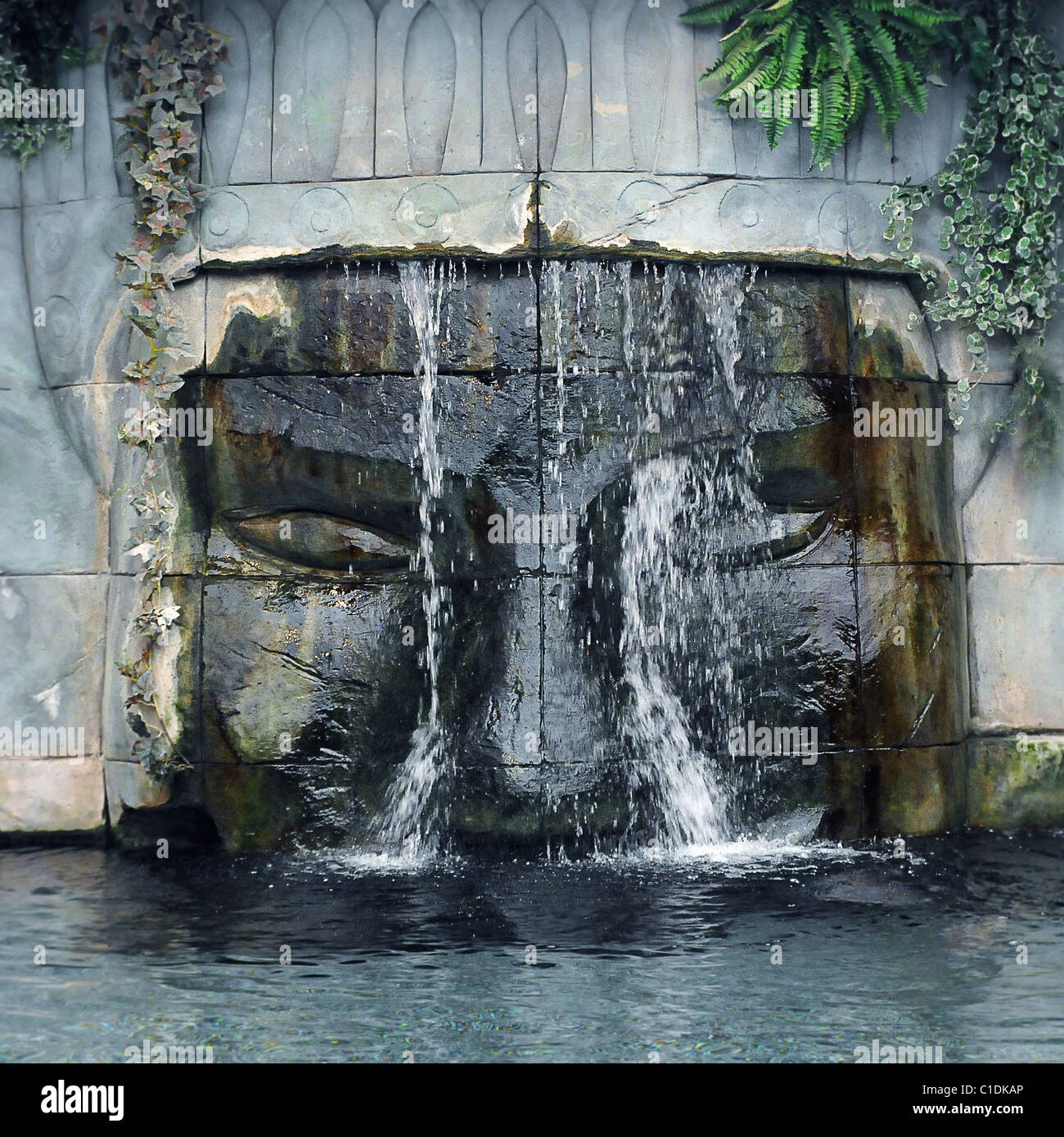 Face of waterfall hi-res stock photography and images - Alamy