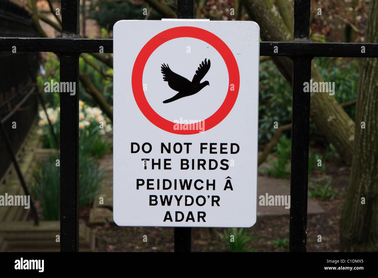 Feed the birds sign hi-res stock photography and images - Alamy