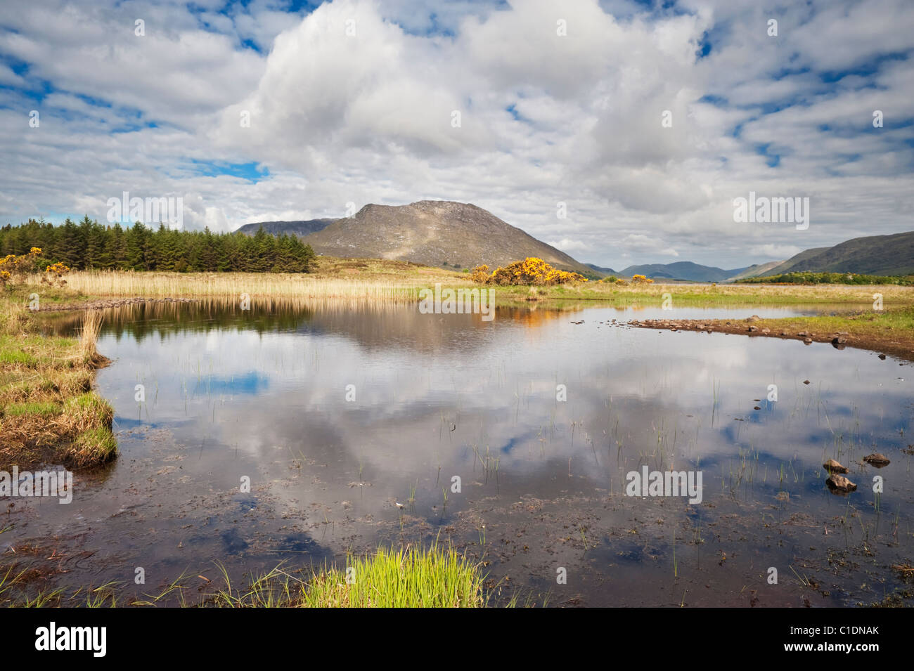 The north-western shore of Lough Corrib, from the Western Way, Co ...