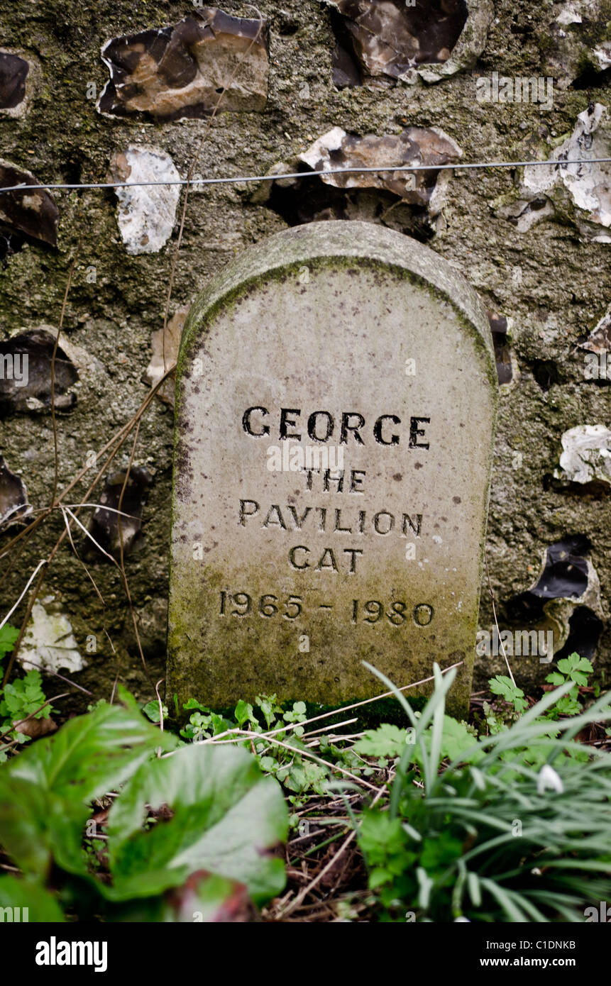 Cat cemetery hi-res stock photography and images - Alamy
