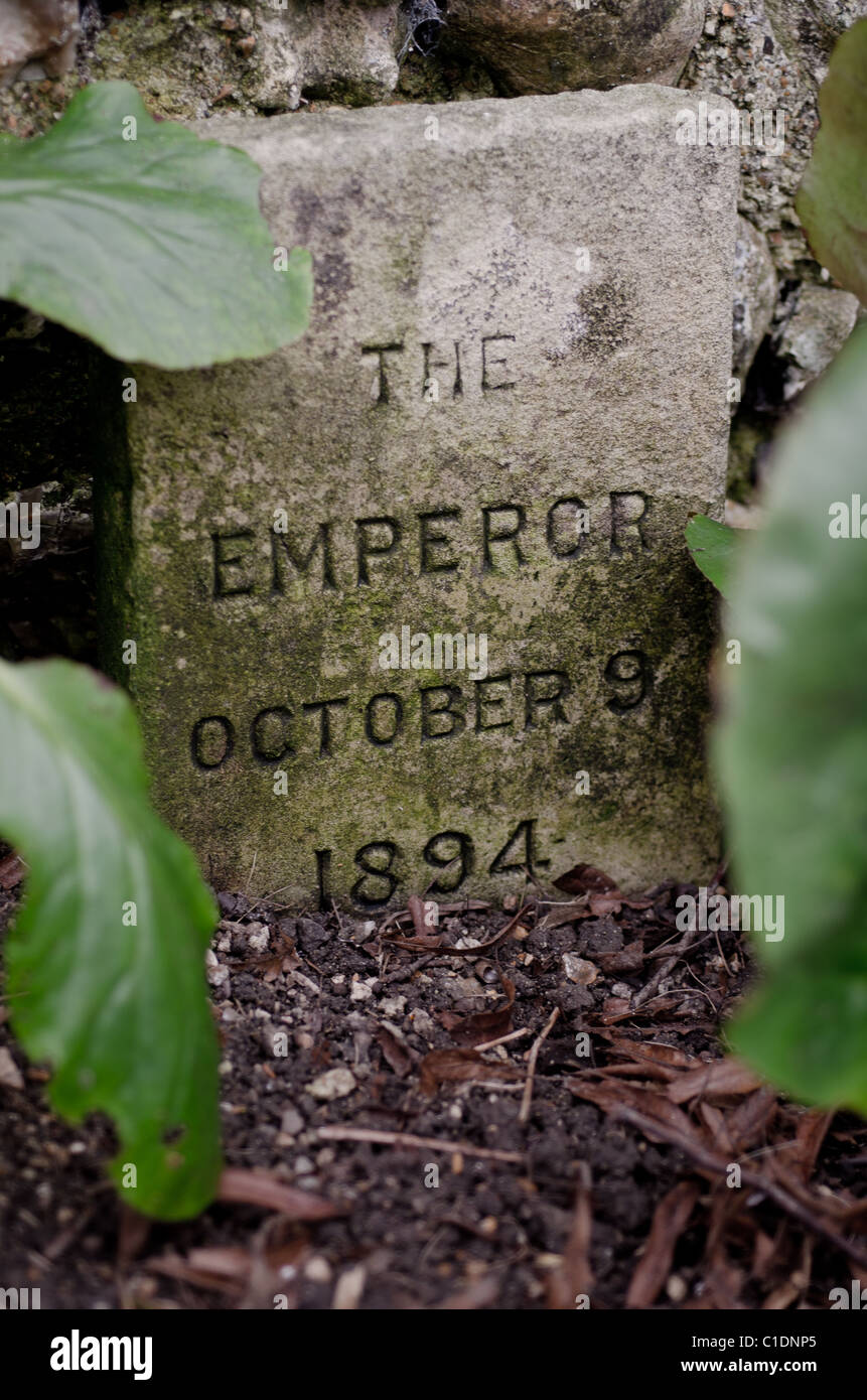 Cat cemetery hi-res stock photography and images - Alamy