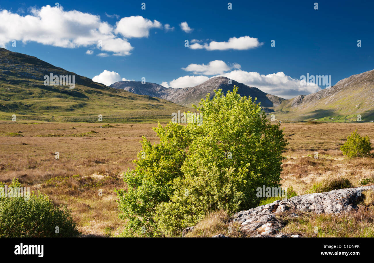 Rock recess hi-res stock photography and images - Alamy