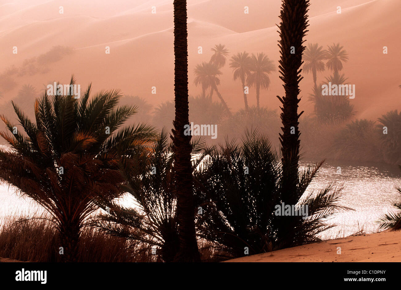 Ubari sand sea libya lake hi-res stock photography and images - Alamy