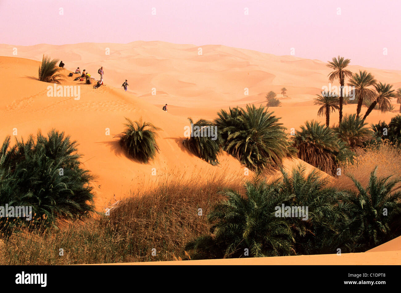 Libya, the Sahara, hiking in the giant dunes of Ubari sand sea around ...