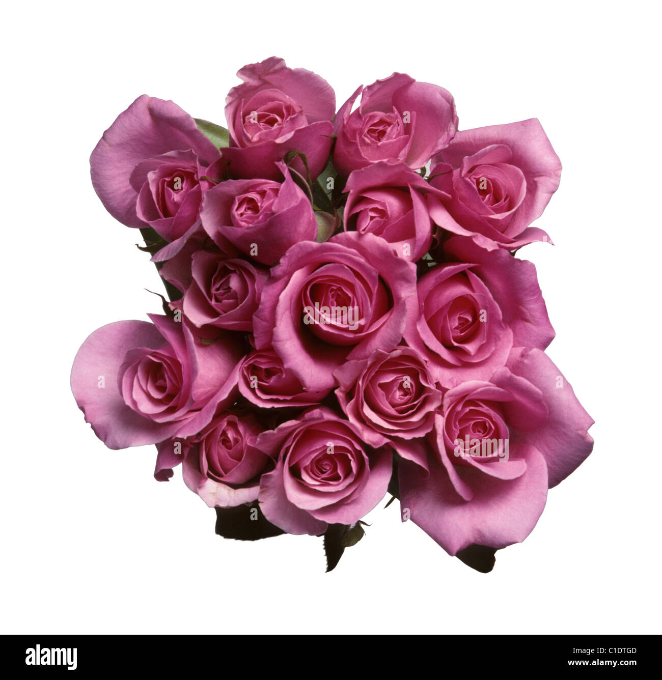 Overhead view of a bouquet of pink roses against white Stock Photo - Alamy