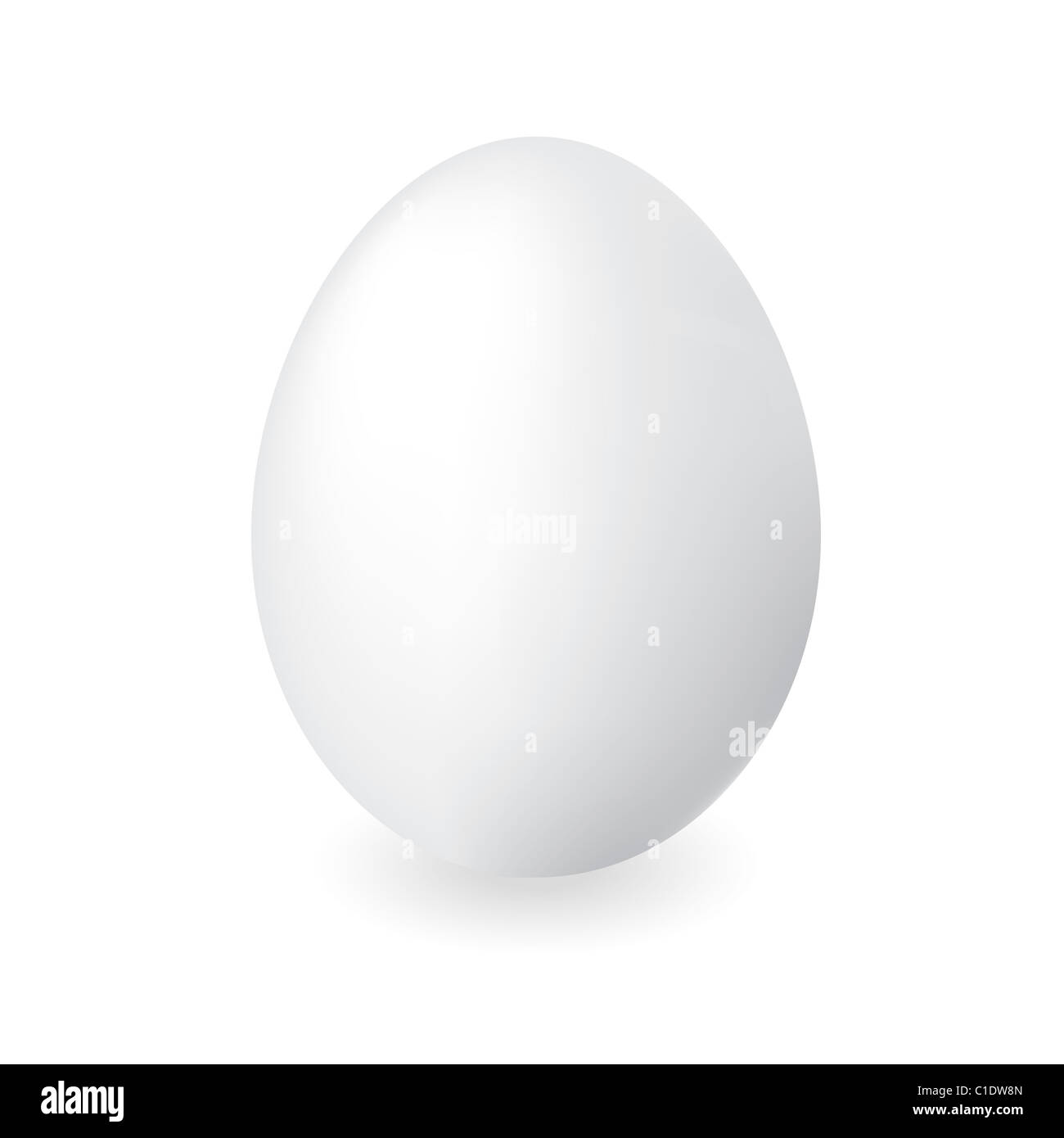 White duck egg shell with isolated white background and shadow Stock ...