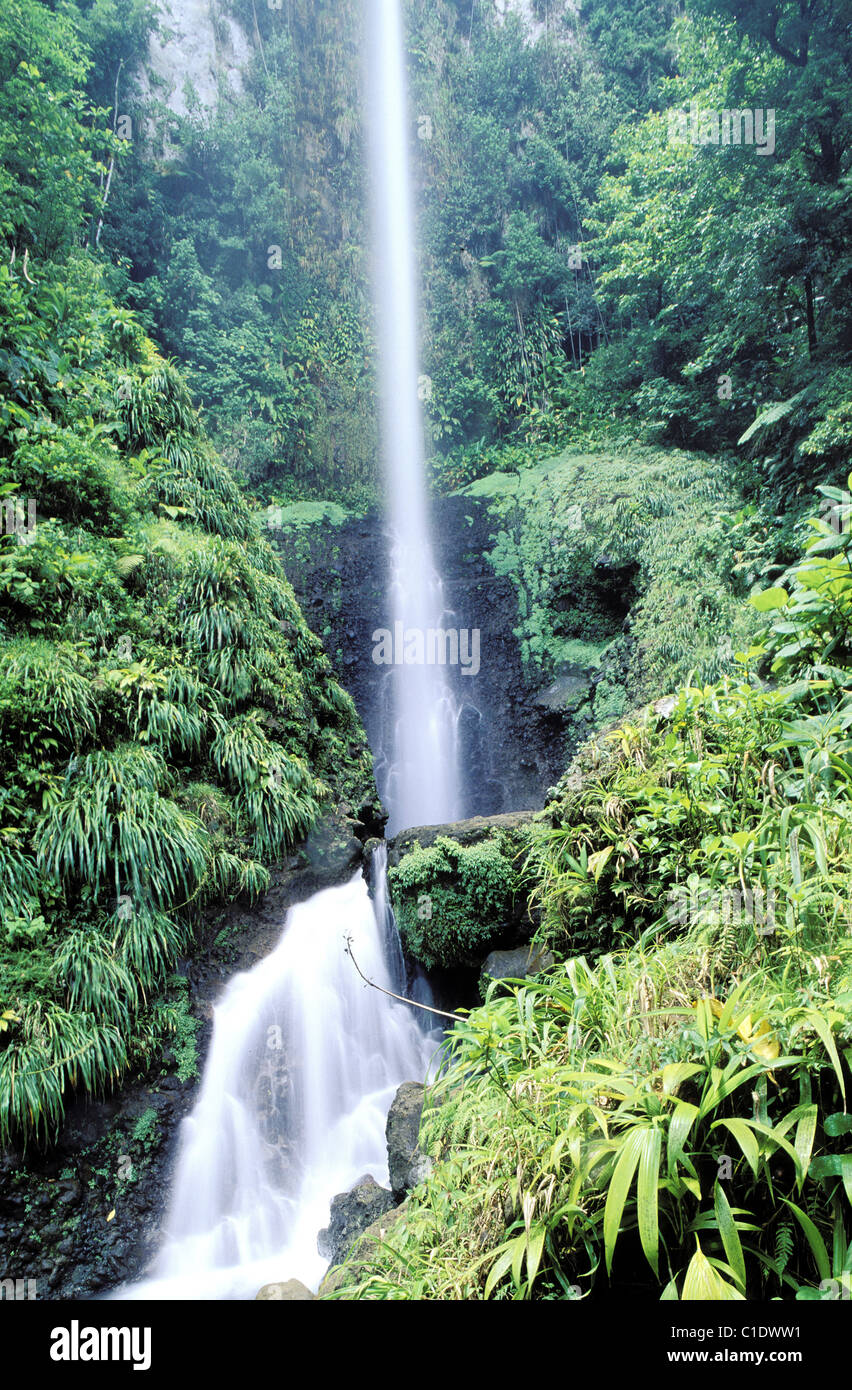 Dominica, central area, Middleham Falls Stock Photo - Alamy