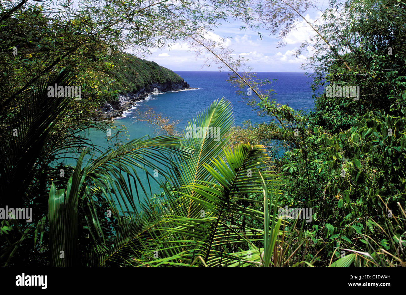 East hampstead hi-res stock photography and images - Alamy