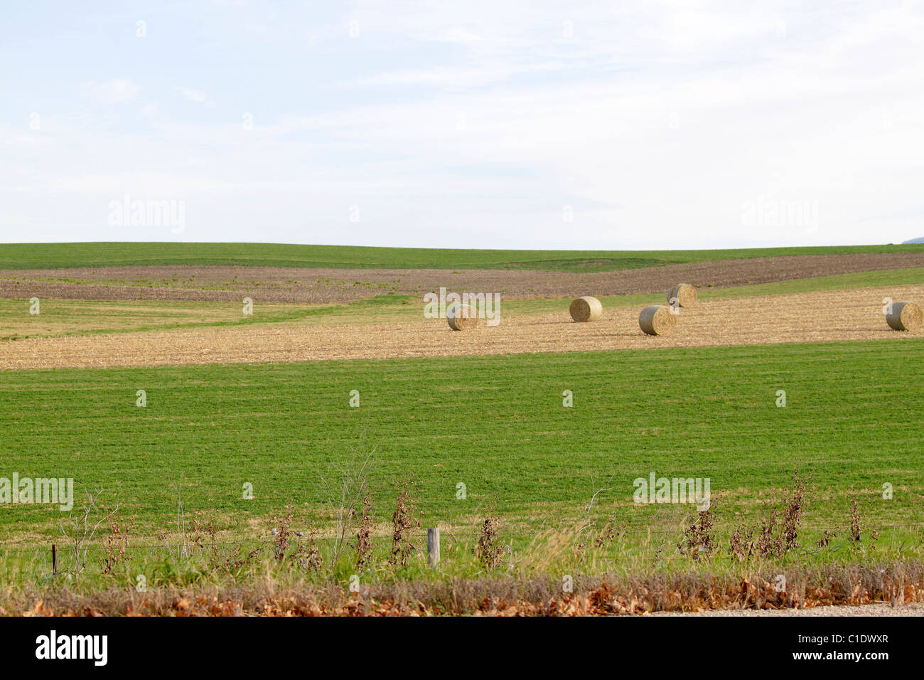 Stover bale hi-res stock photography and images - Alamy