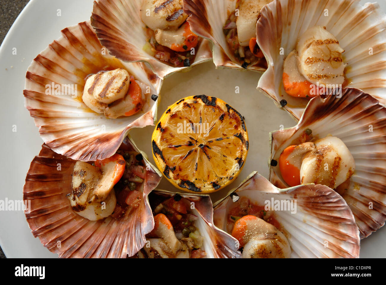 A plate of Scallops in their shells with half a lemon Stock Photo - Alamy