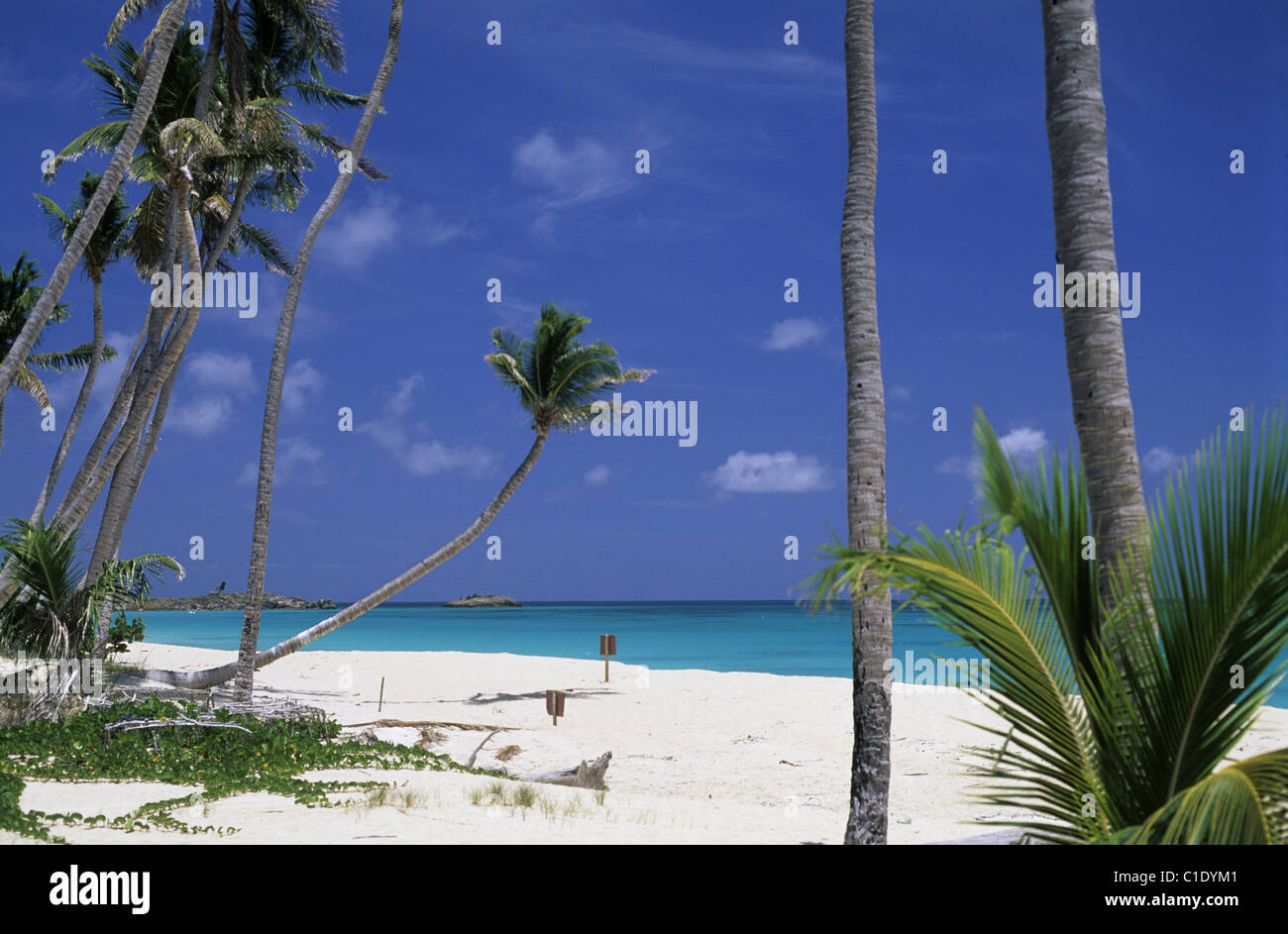 Antigua and Barbuda, Antigua Island, South West coast, Johnson Point ...