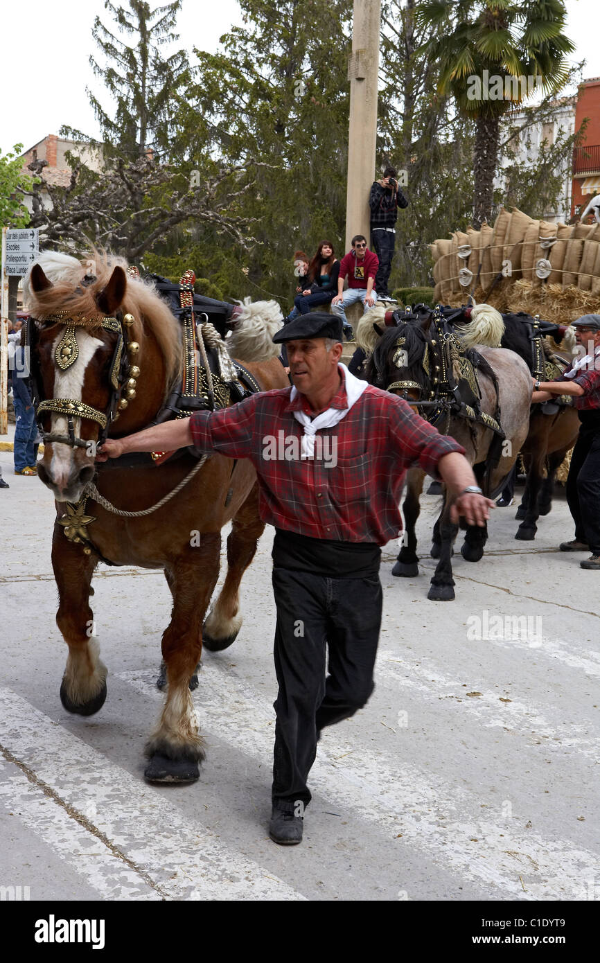 Exhibition Carts and horses Stock Photo - Alamy