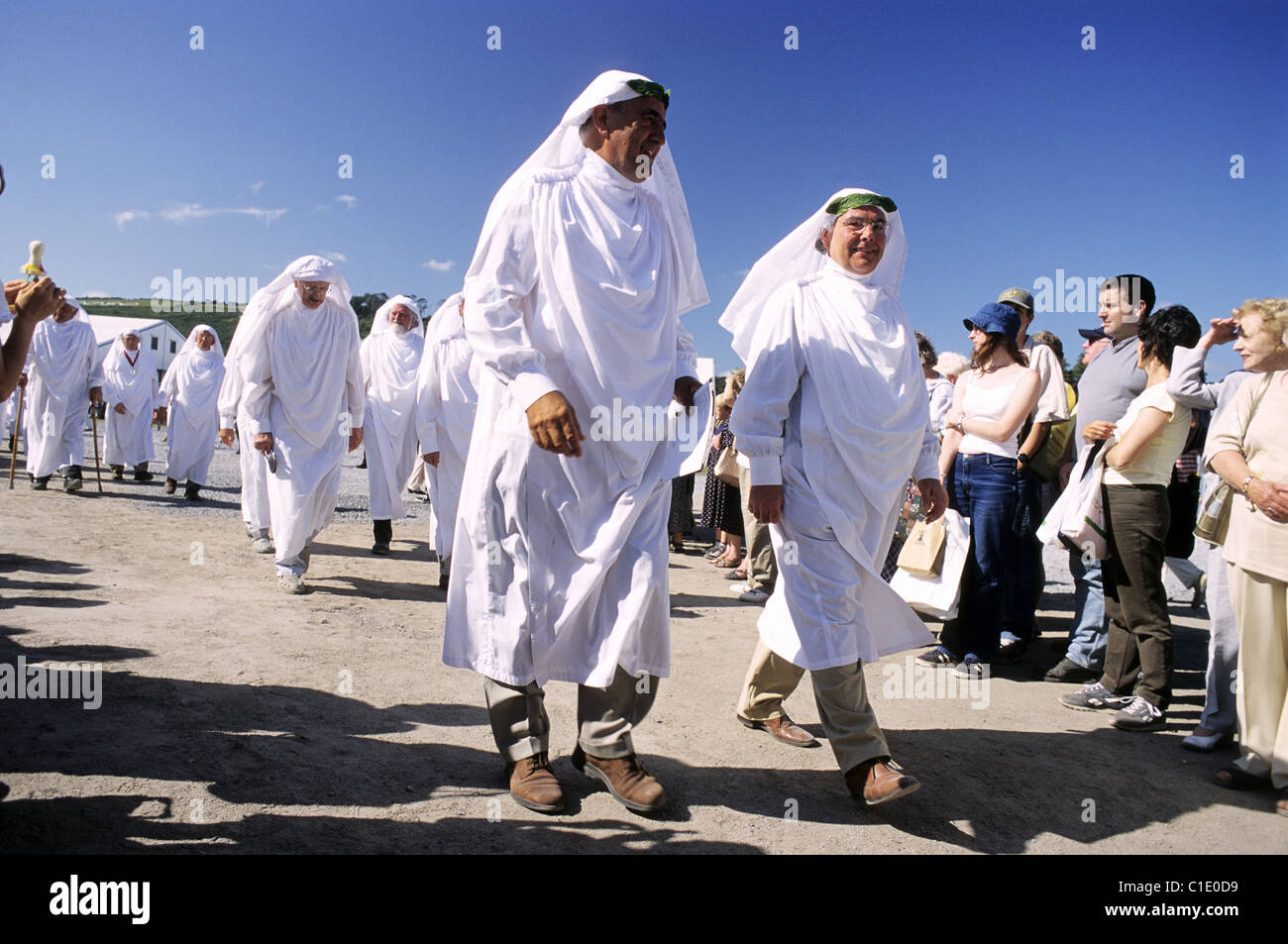 Druid celtic hi-res stock photography and images - Alamy