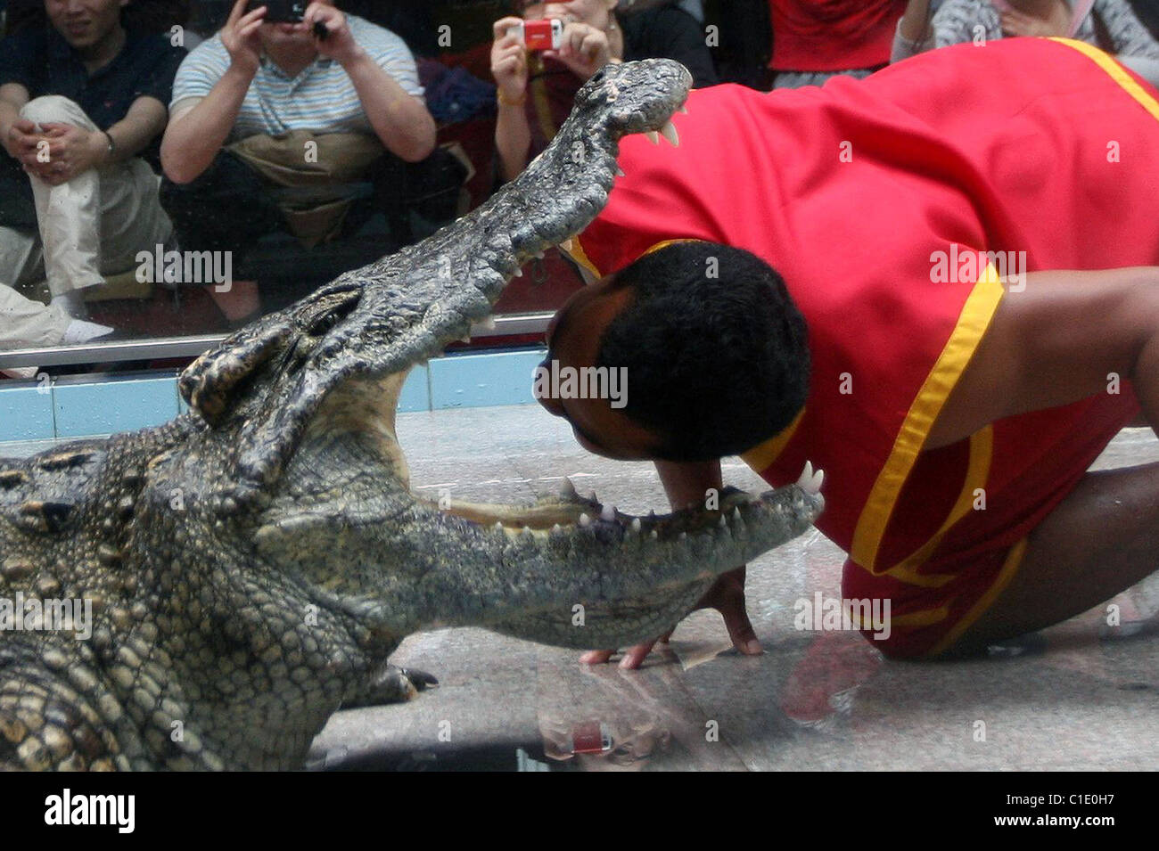 Crocodile wrestling These crazy croc trainers risk their necks ...