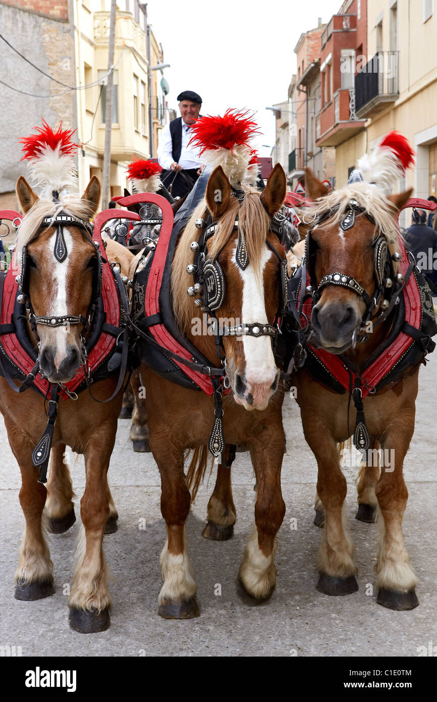 Exhibition Carts in Anglesola. LLeida, Spain Stock Photo - Alamy