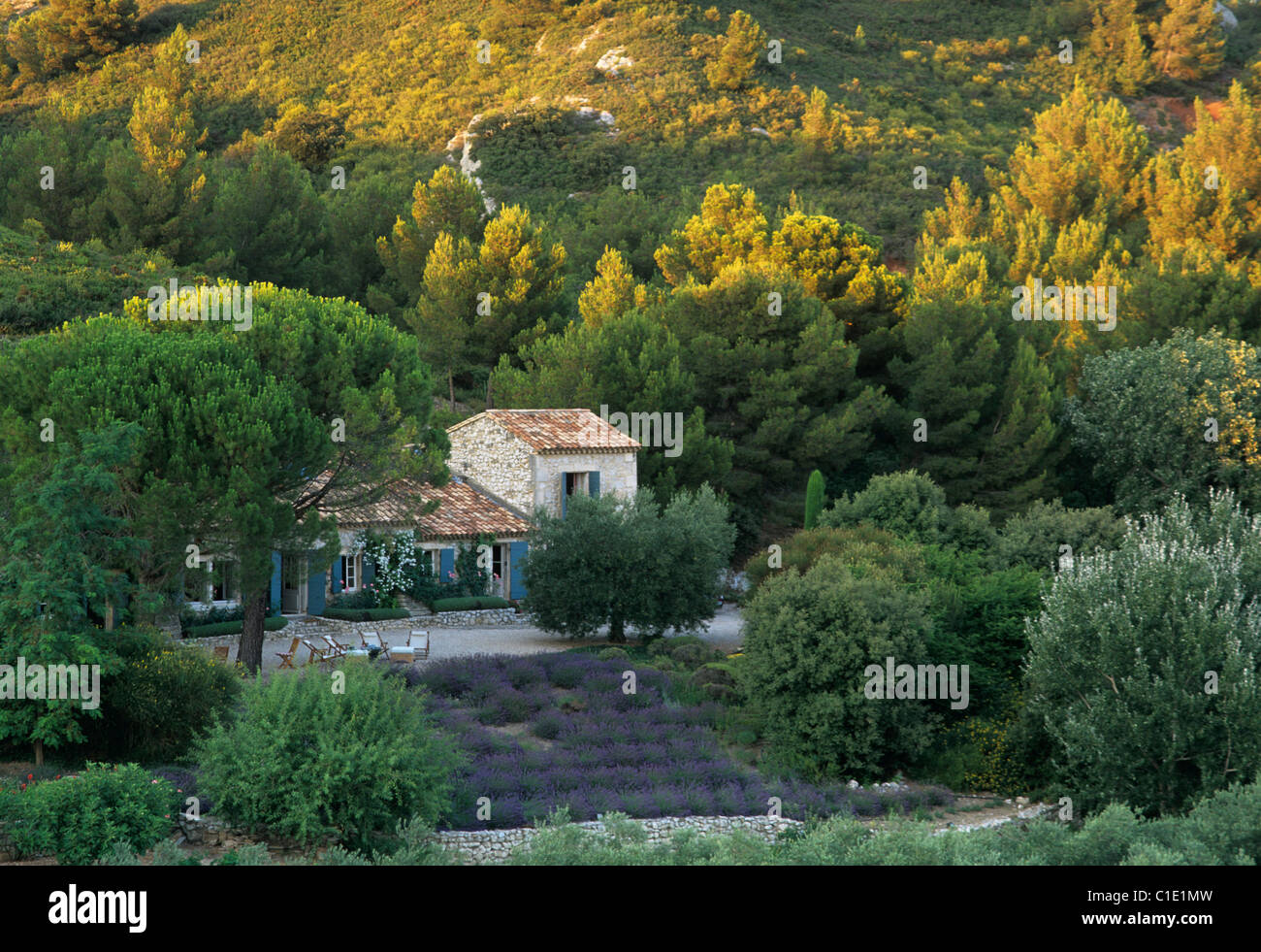 Provencal farmhouse on a rural hillside Stock Photo - Alamy