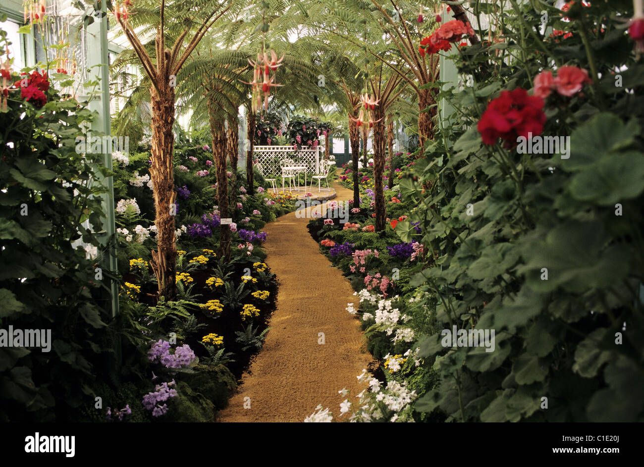 Laeken royal palace hi-res stock photography and images - Alamy