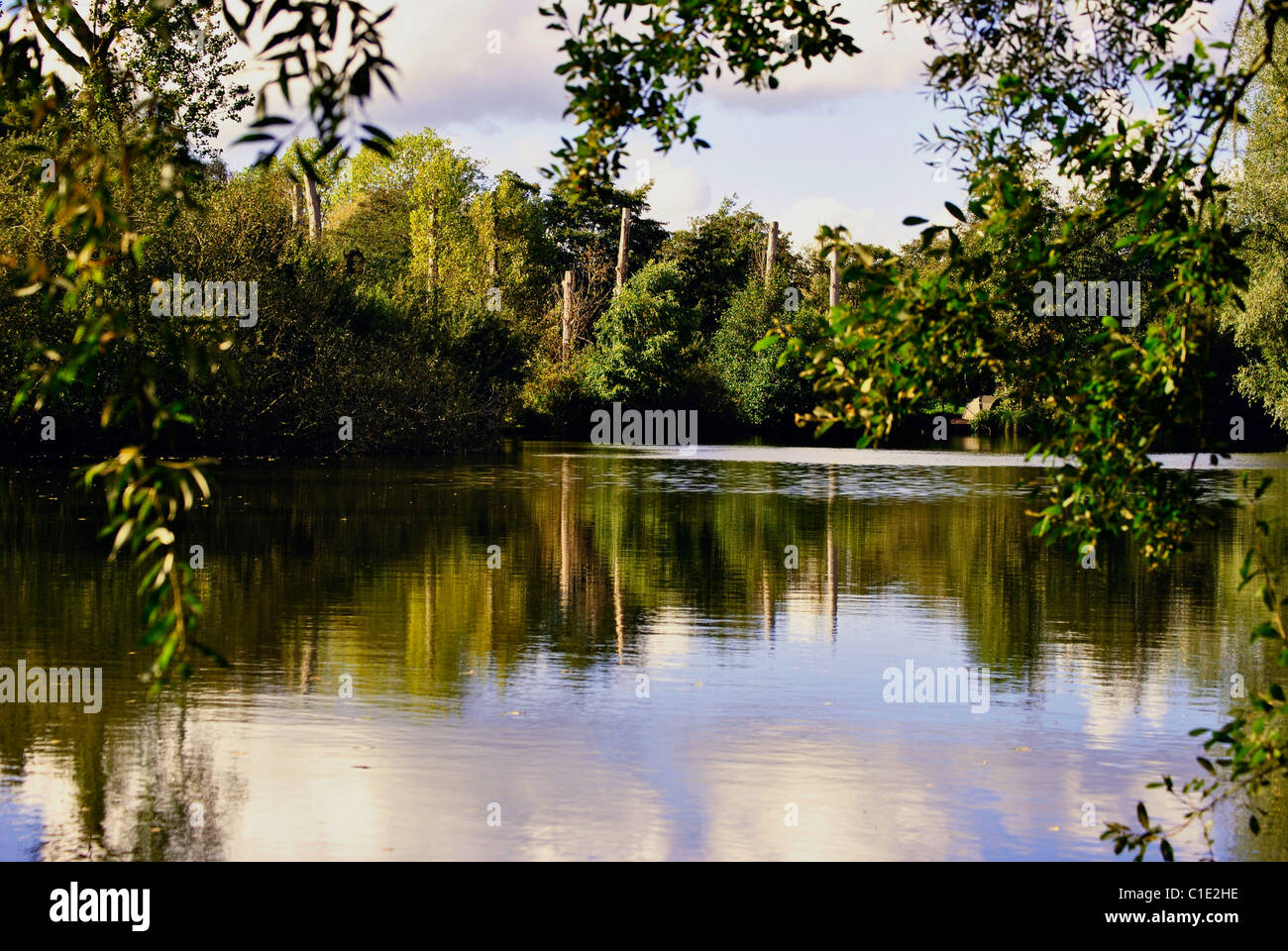 scenes ,lakes nature norfolk Stock Photo - Alamy