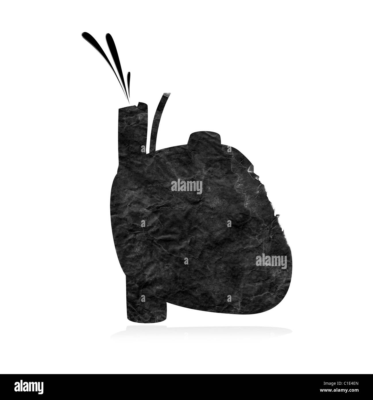 Human heart Black and White Stock Photos & Images - Alamy