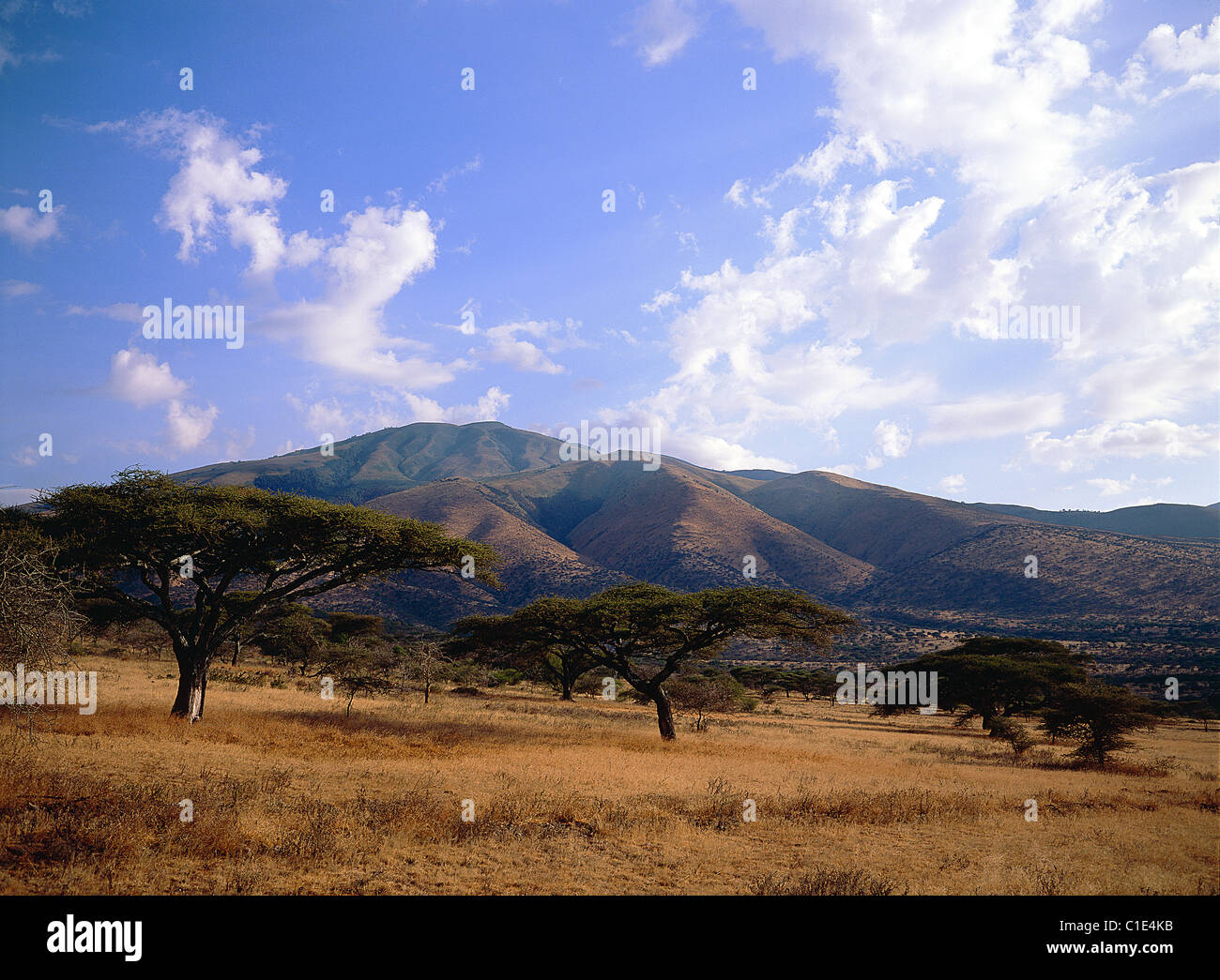 serengeti plain definition