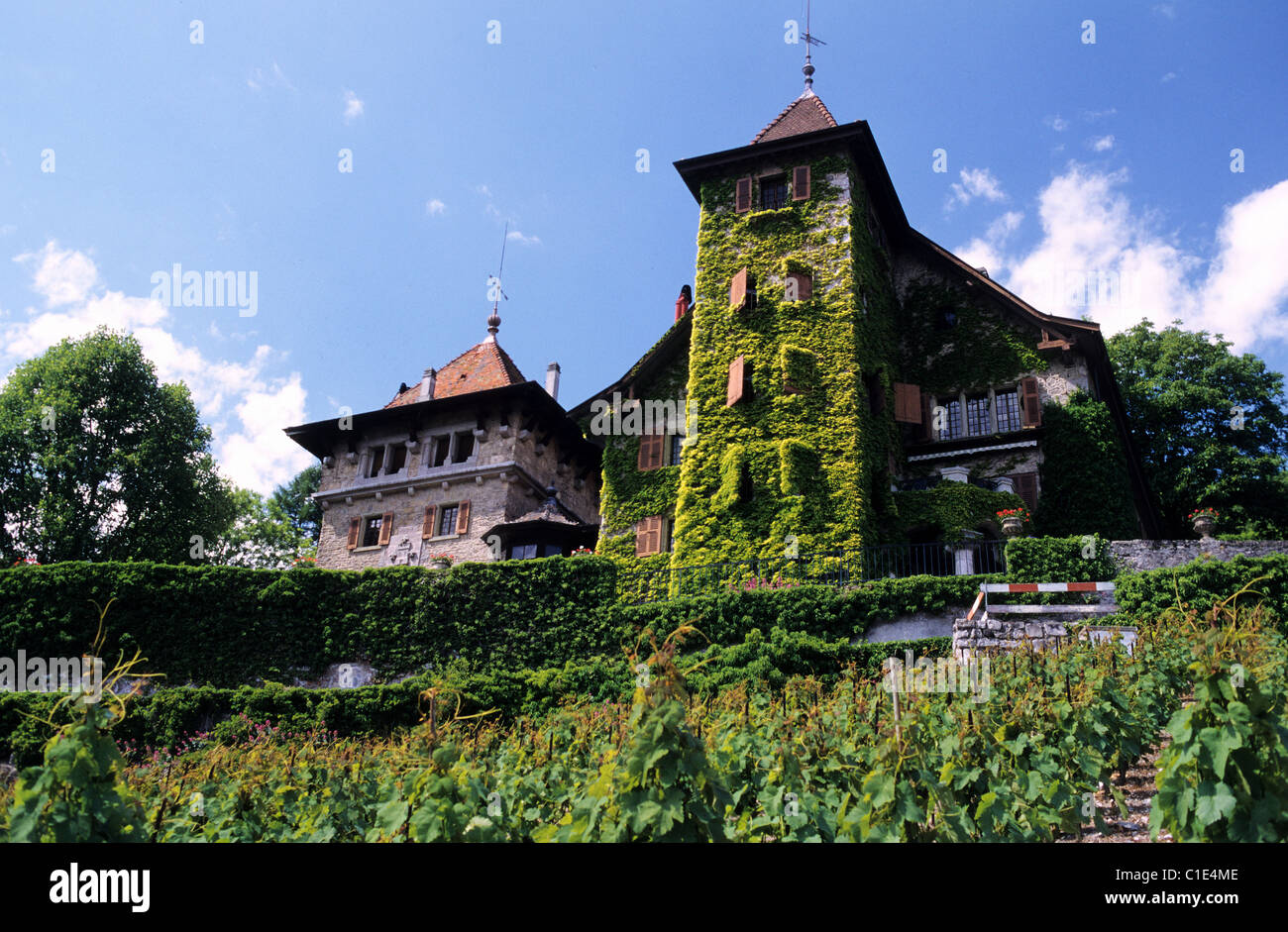 Lutry Switzerland High Resolution Stock Photography and Images - Alamy
