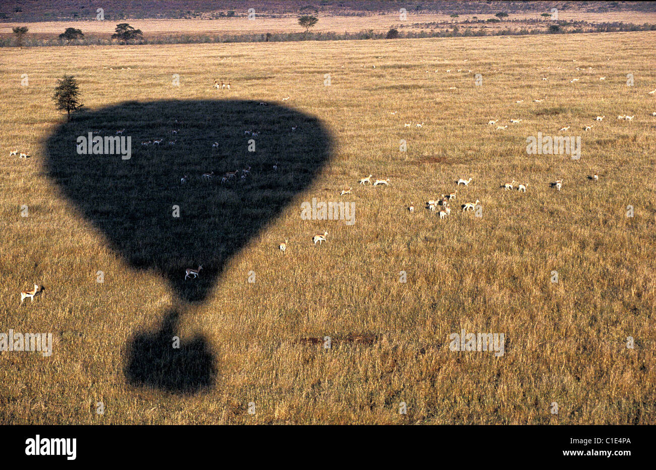 Balooning hi-res stock photography and images - Alamy
