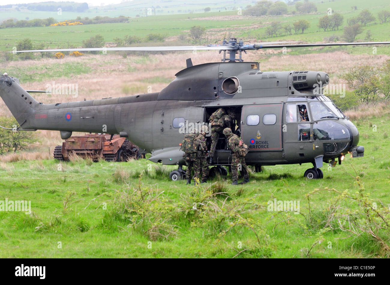 he Puma HC1 first entered service in 1971, and the RAF currently has a ...