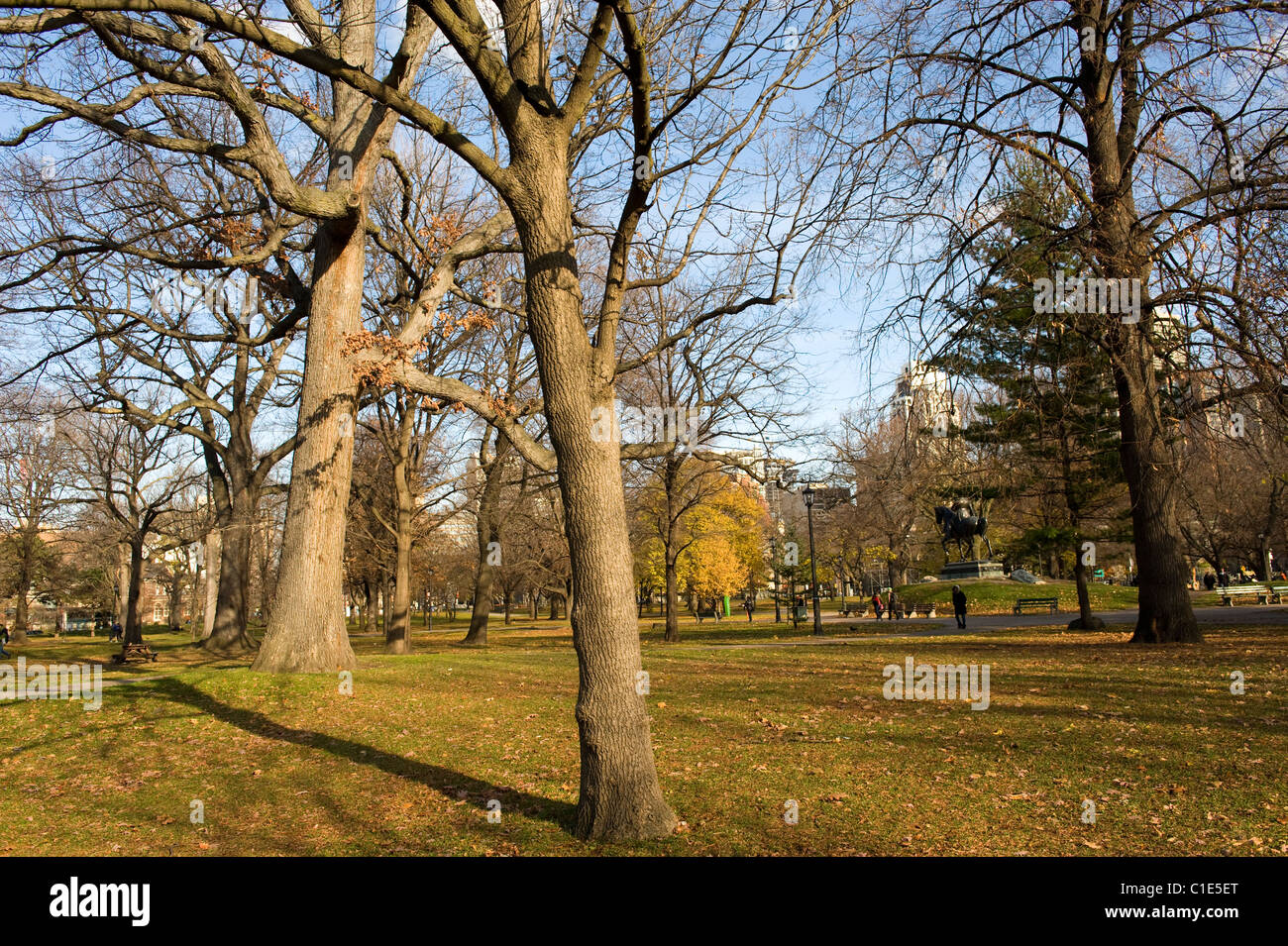 Queen's Park in Toronto Stock Photo - Alamy