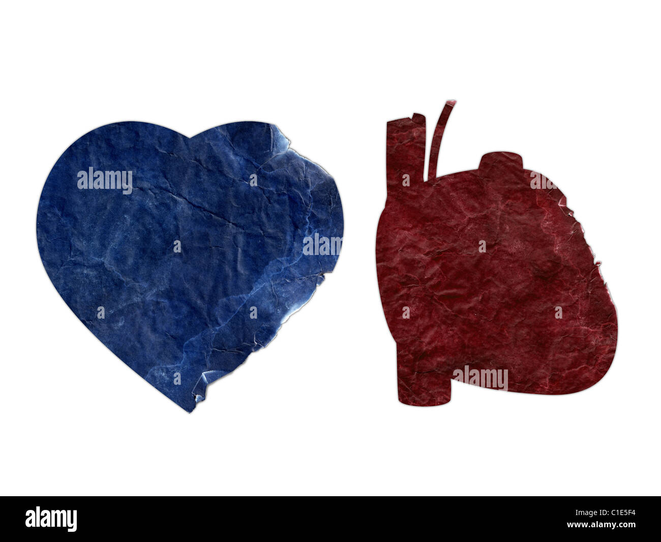 Hearts disease Cut Out Stock Images & Pictures - Alamy