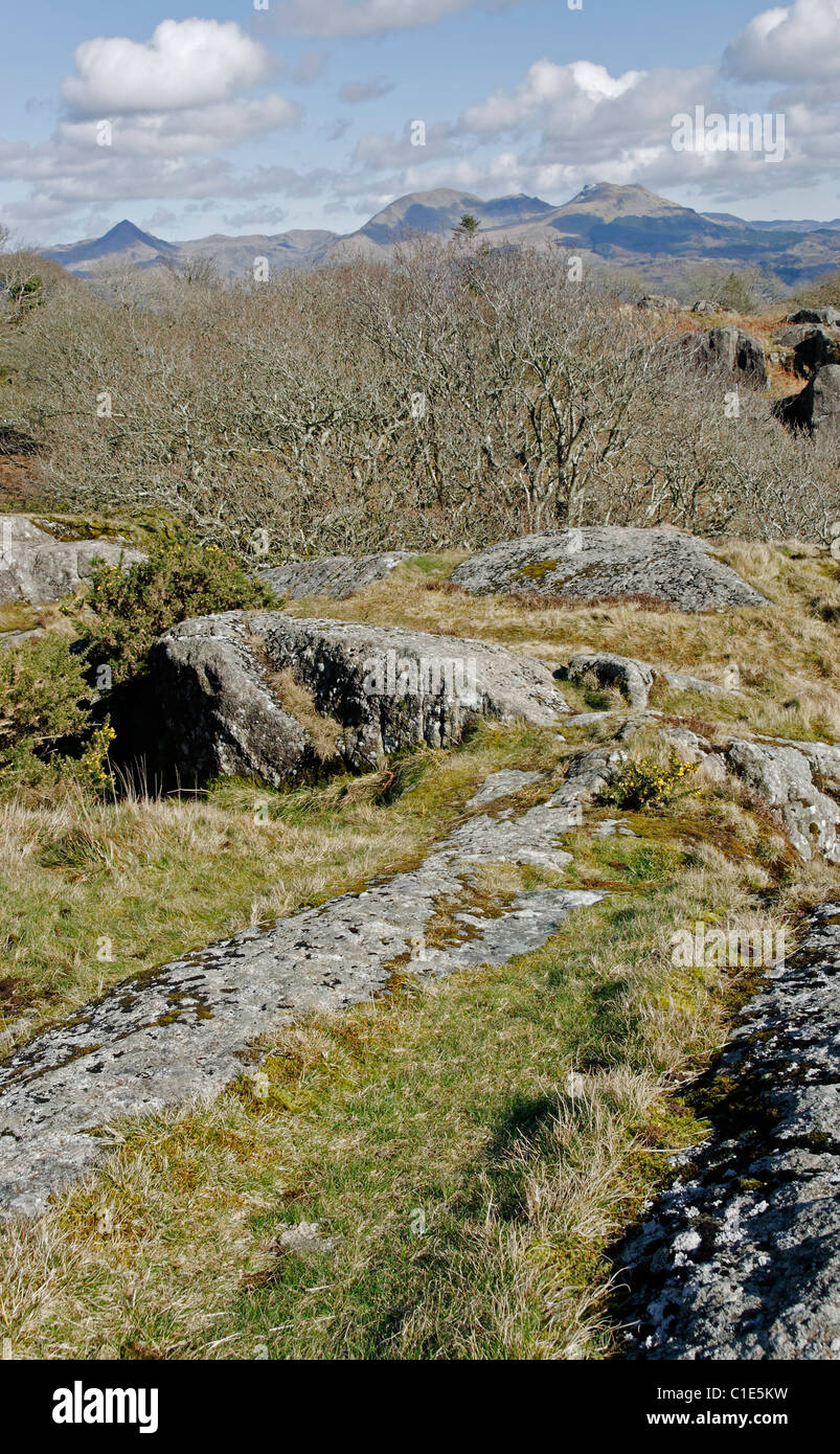 Scenery from upper tier of tremadog hi-res stock photography and images ...