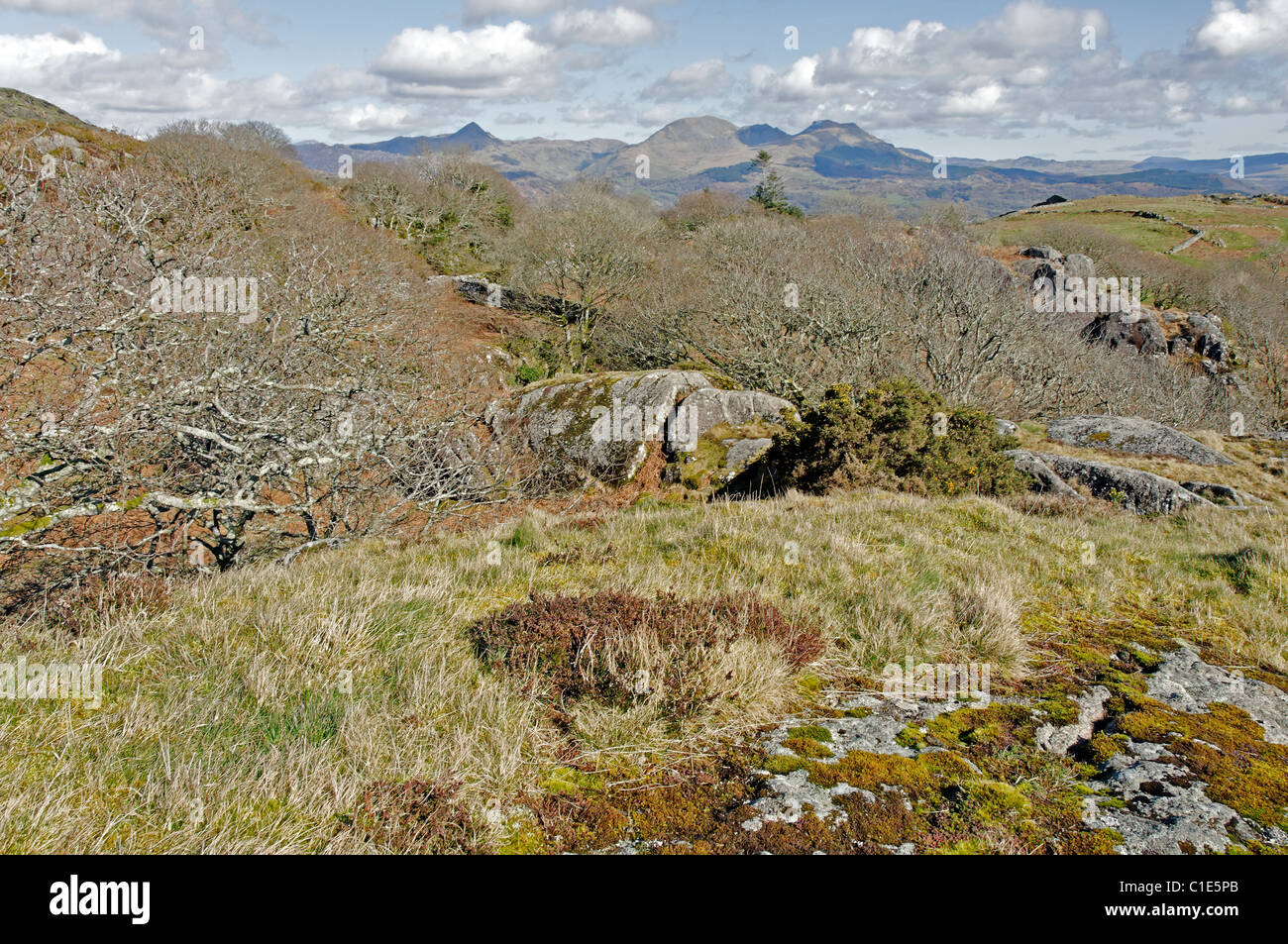 Tremadog hi-res stock photography and images - Alamy