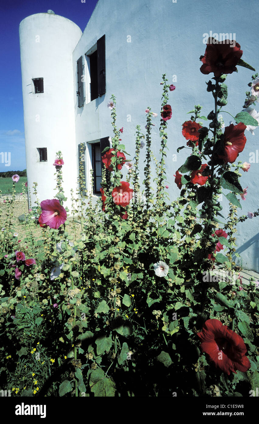 Loix village hi-res stock photography and images - Alamy