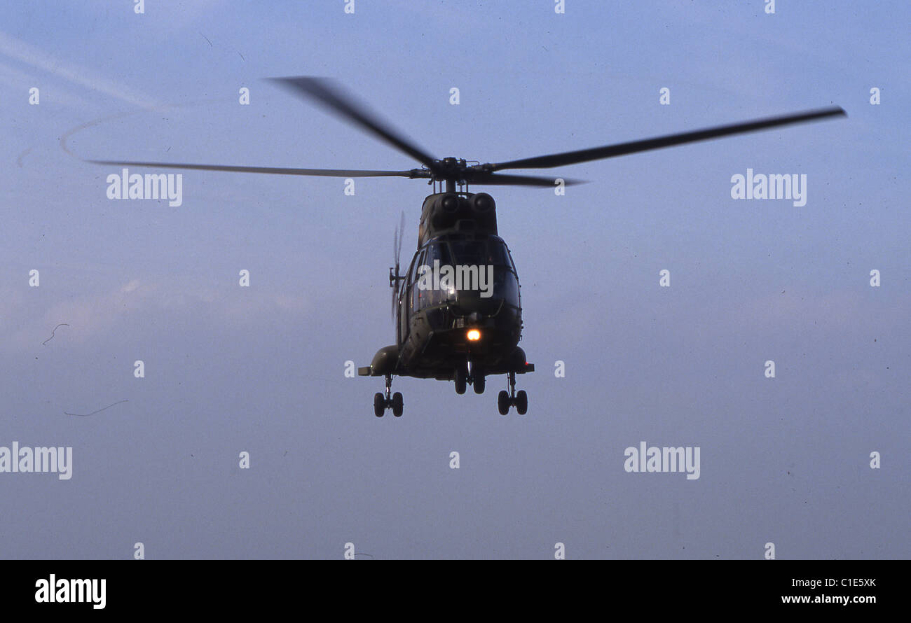 he Puma HC1 first entered service in 1971, and the RAF currently has a ...