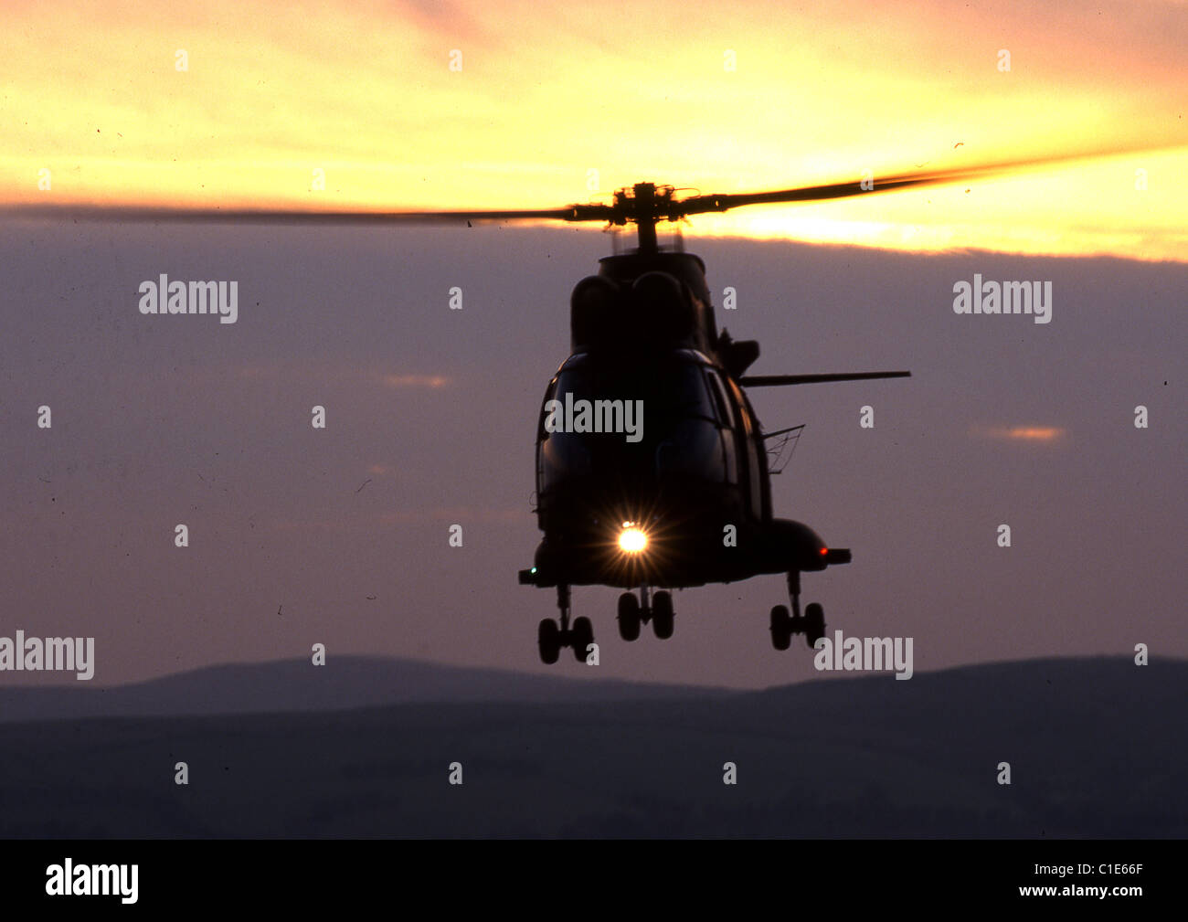 Puma hc1 hi-res stock photography and images - Alamy