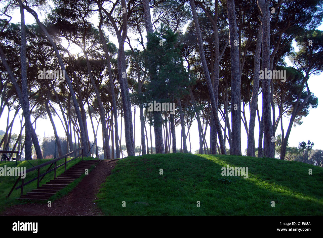 Set among trees hi-res stock photography and images - Alamy
